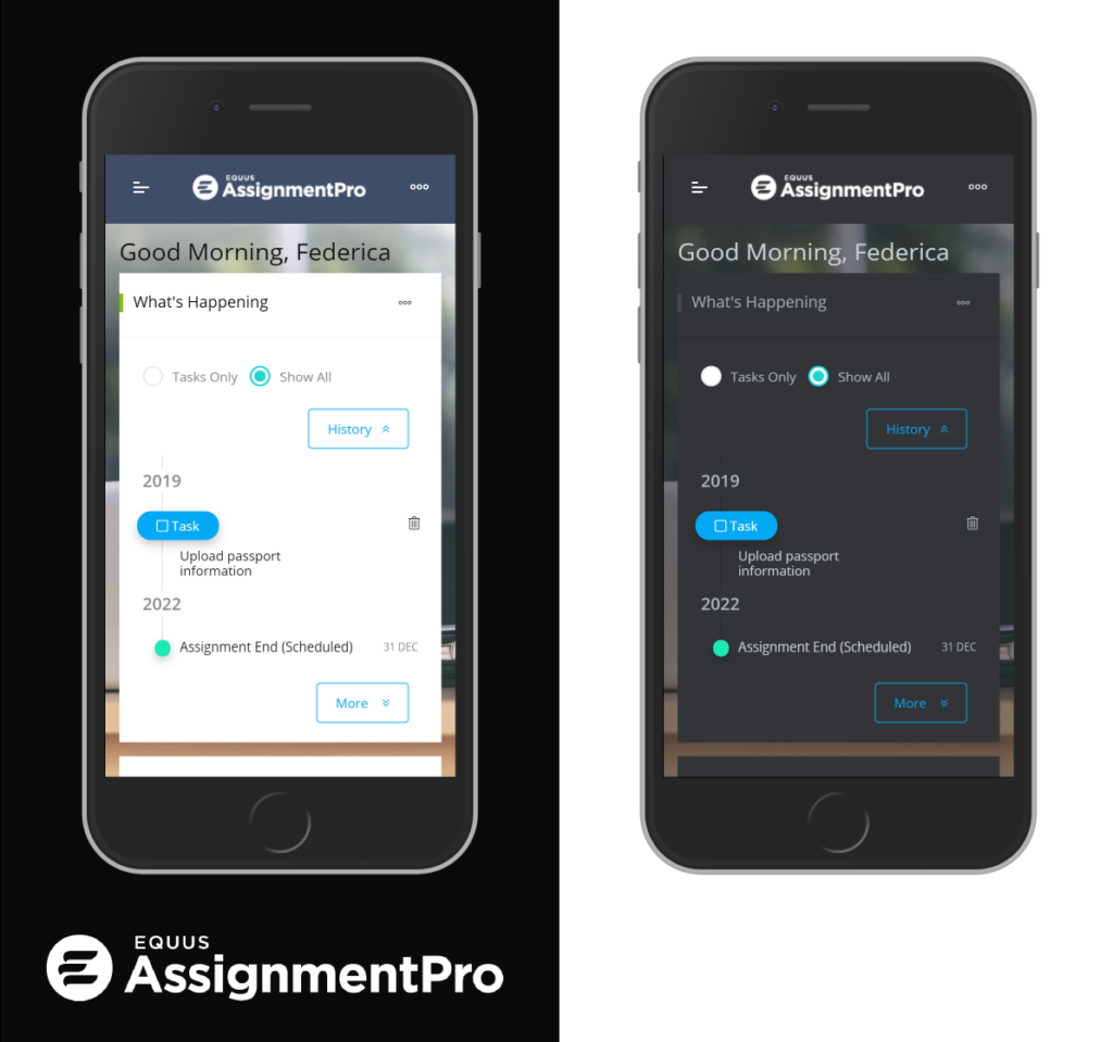 AssignmentPro 19.6 Features: Dark Mode | Equus Software